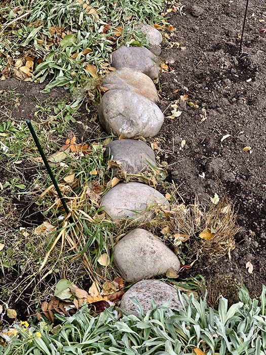 Stepping Stone Moments - Faithful Companions of Jesus