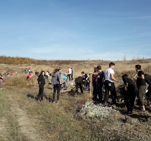 Planting Good Deeds in Romania - Faithful Companions of Jesus